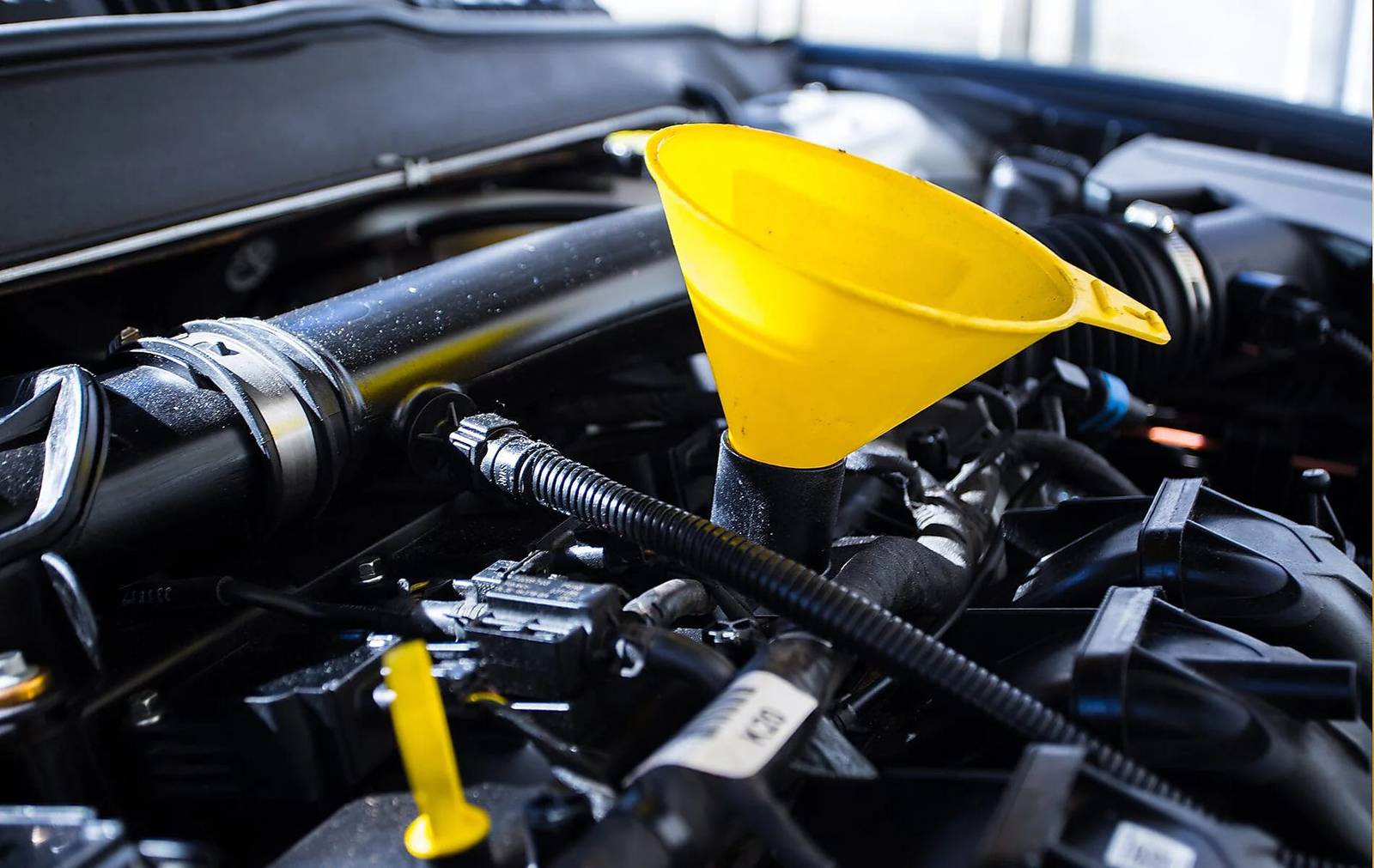 Change Your Own Oil: A Step-by-Step Guide